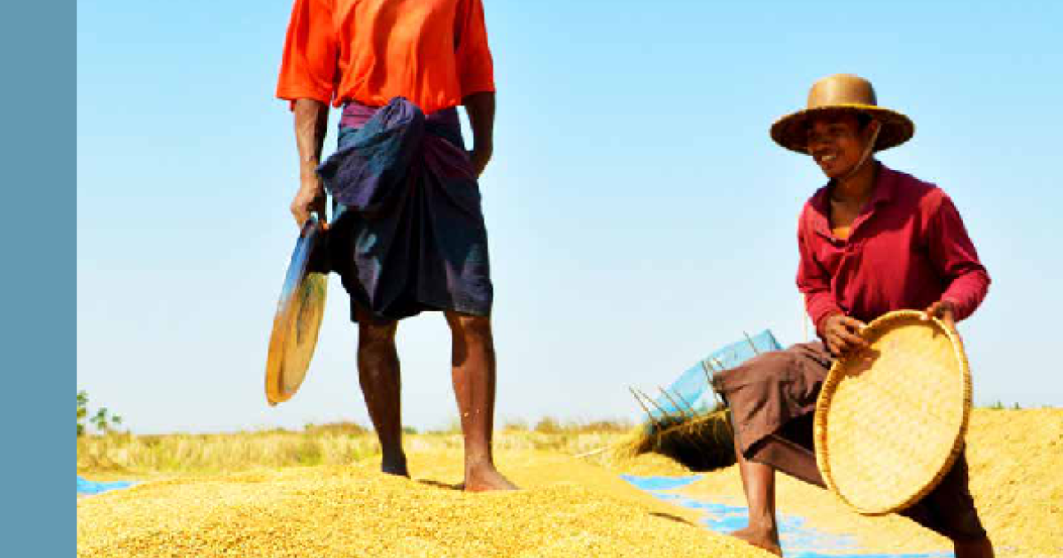 LIFT Annual Report 2014 (Myanmar version) | LiftFund